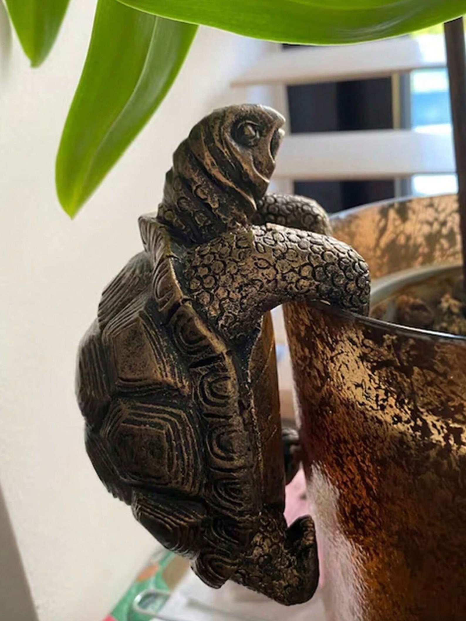 Bronze Turtle Planter Hanging, Pot Buddy, Pot Hanger, Gift Boxed ...