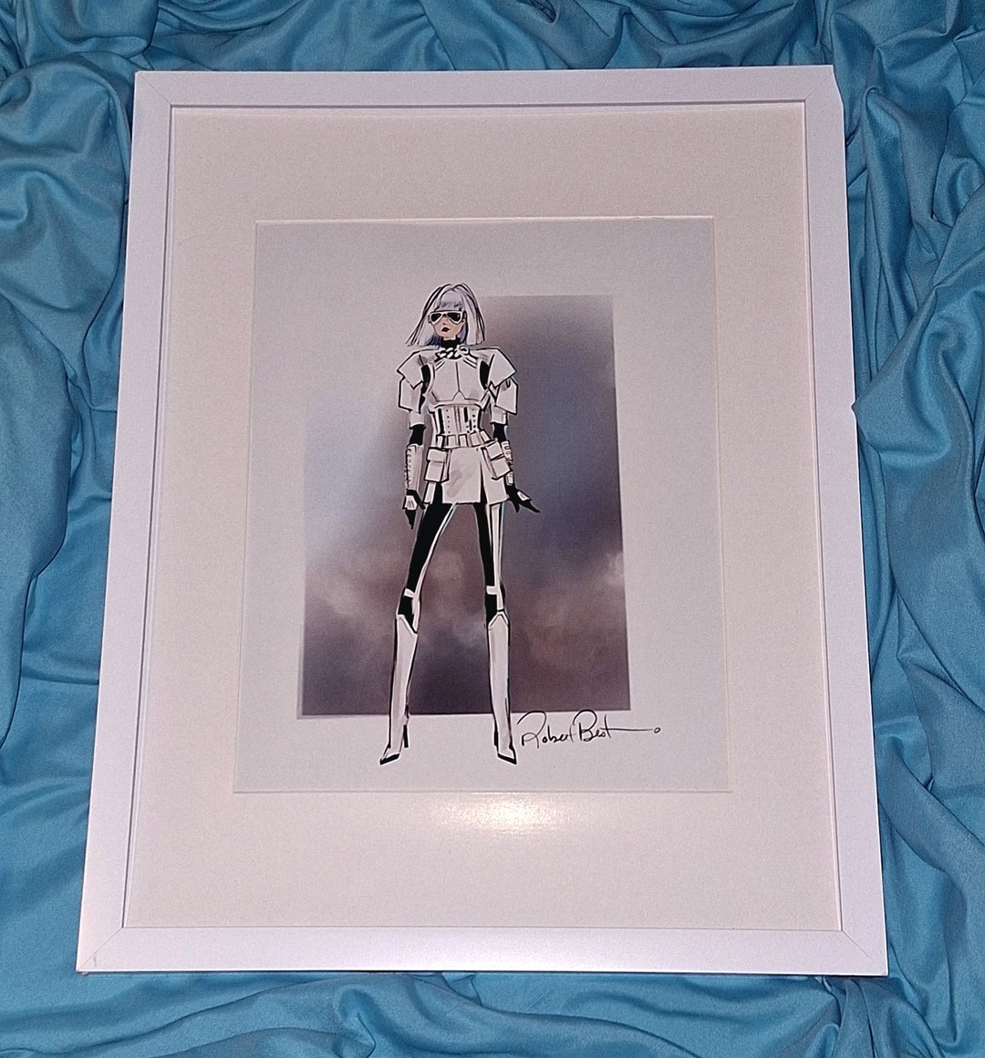 Robert Best Star Wars Stormtrooper Barbie 11x14 Framed Art Print - Etsy