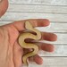 MDF Snake Shapes, Craft Blanks to Paint, Mixed Media Wooden Blanks 3mm ...