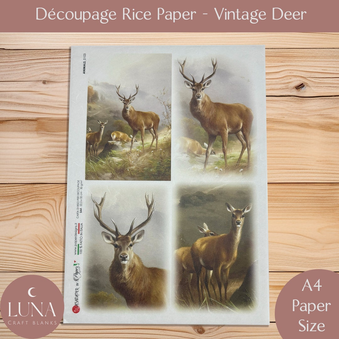 Rice Paper for Decoupage, Vintage Deer Stag A4 Sheet Printed Rice Paper ...