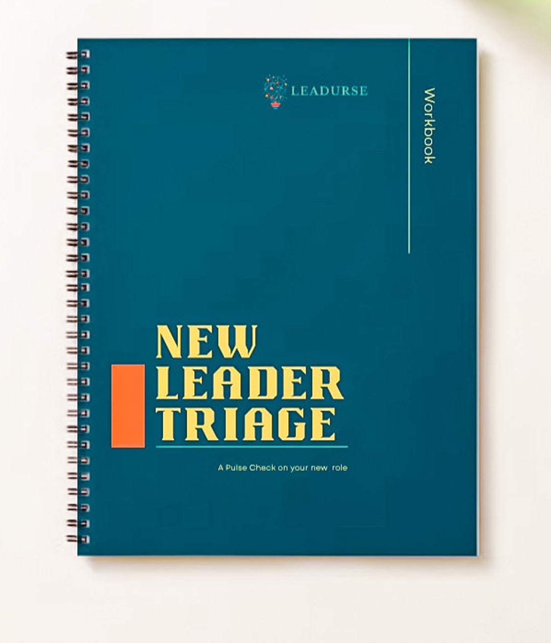New Leader Triage: Nurse Leader Workbook to Get Started in Your New ...