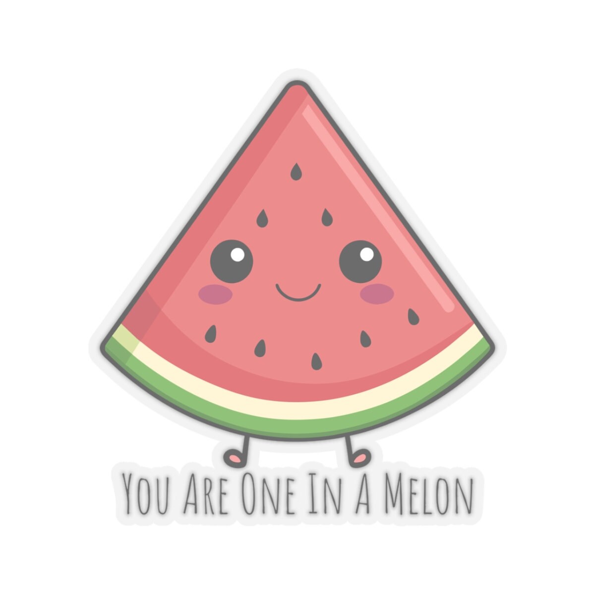 Adorable Watermelon Sticker, 'you Are One in A Melon' Pun Decal, Cute ...