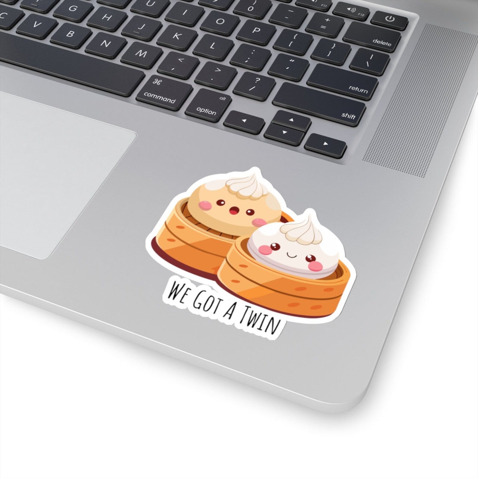 Adorable Twin Dumpling Sticker, 'we Got A Twin' Pun, Cute Dim Sum Decal ...