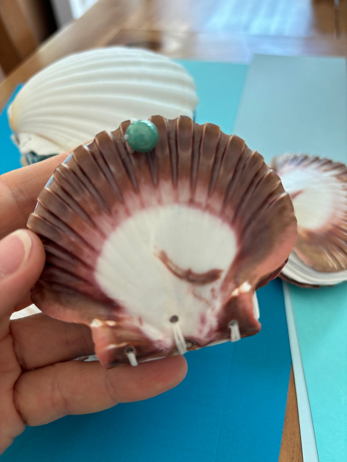 Mermaid/mermen Notebook, Sea Shell Notebook, Sketchpad, Diary, Memo ...