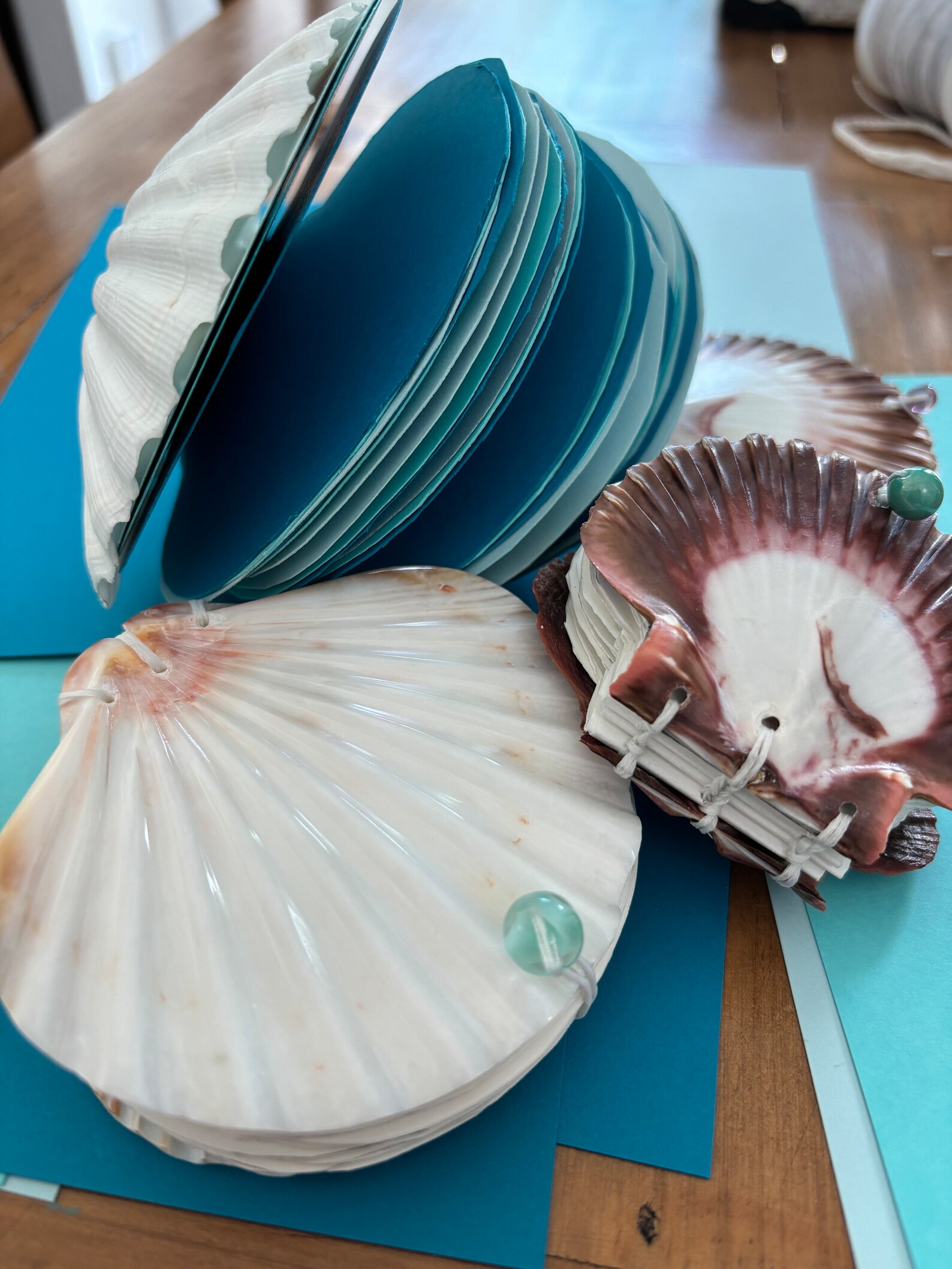 Mermaid/mermen Notebook, Sea Shell Notebook, Sketchpad, Diary, Memo ...