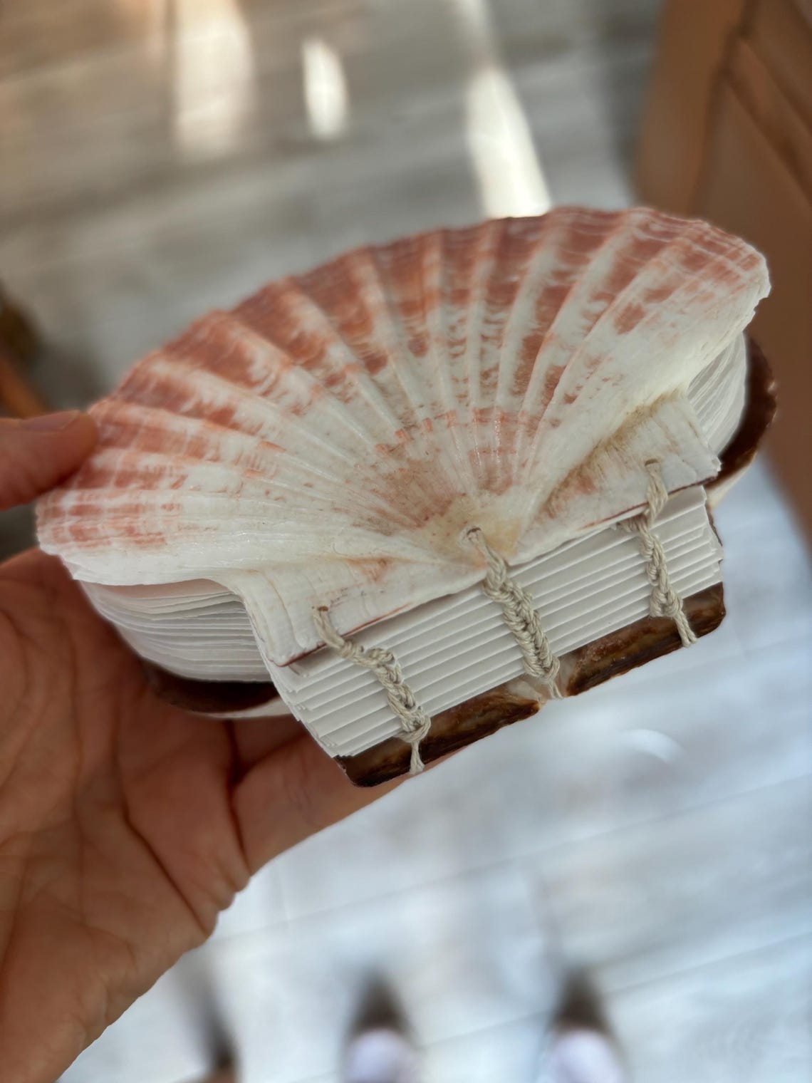 Mermaid/mermen Notebook, Sea Shell Notebook, Sketchpad, Diary, Memo ...