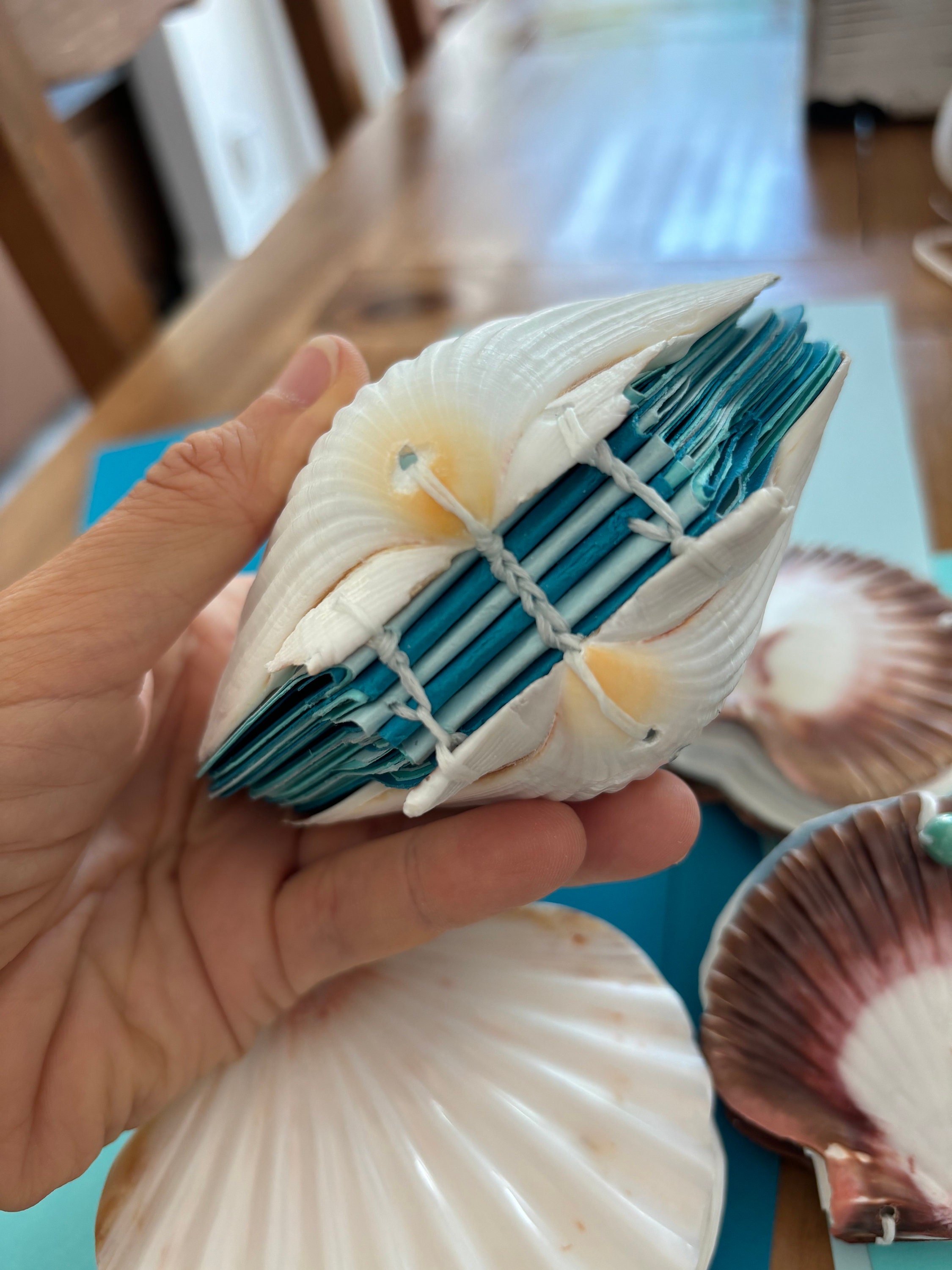 Mermaid/mermen Notebook, Sea Shell Notebook, Sketchpad, Diary, Memo ...