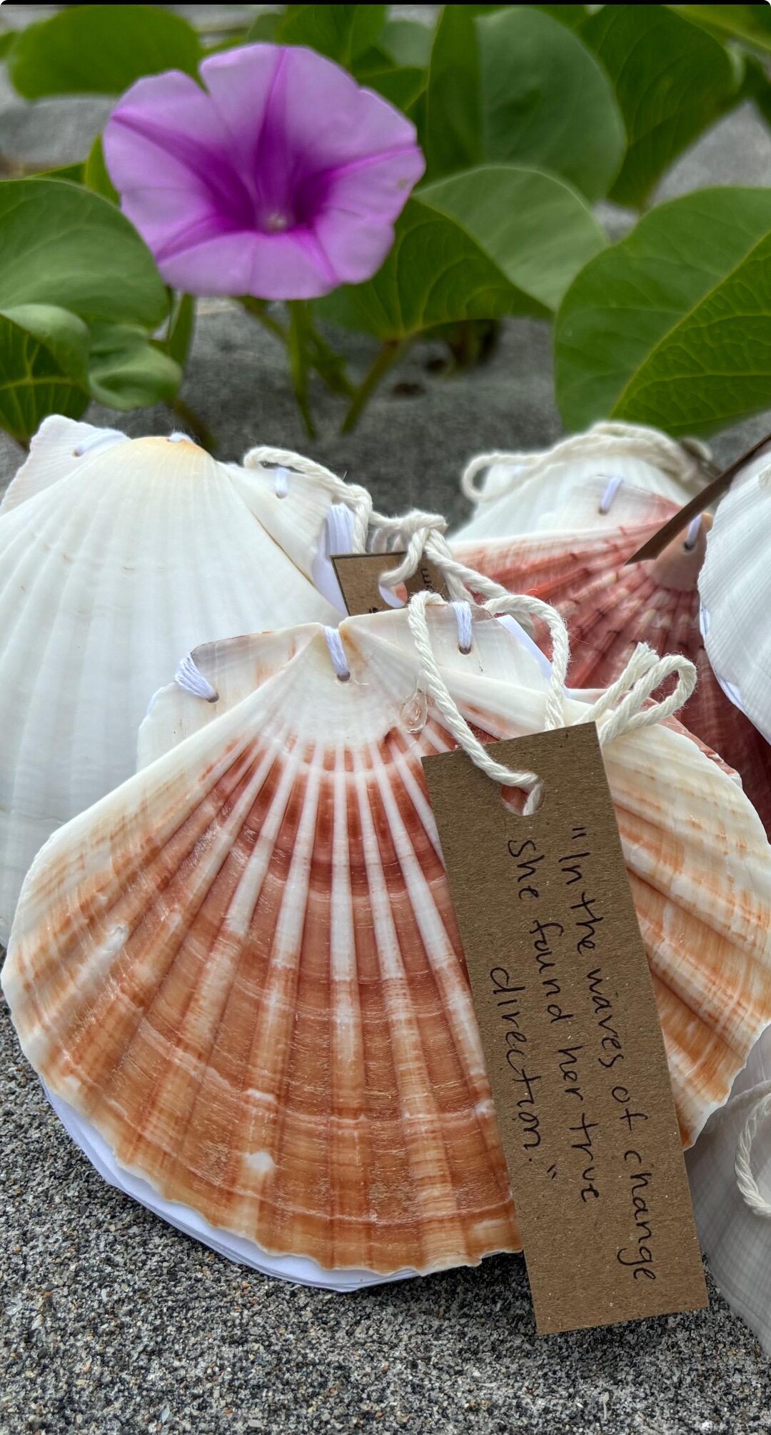 XL Reddish Mermaid/mermen Notebook, Sea Shell Notebook, Sketchpad ...