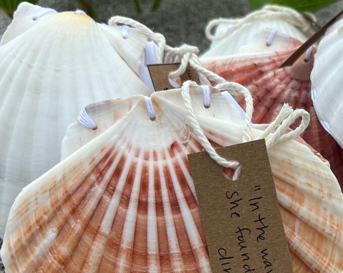 Seashell Scallop Shell Art Journal, Blank Watercolor Paper, Sketchbook ...