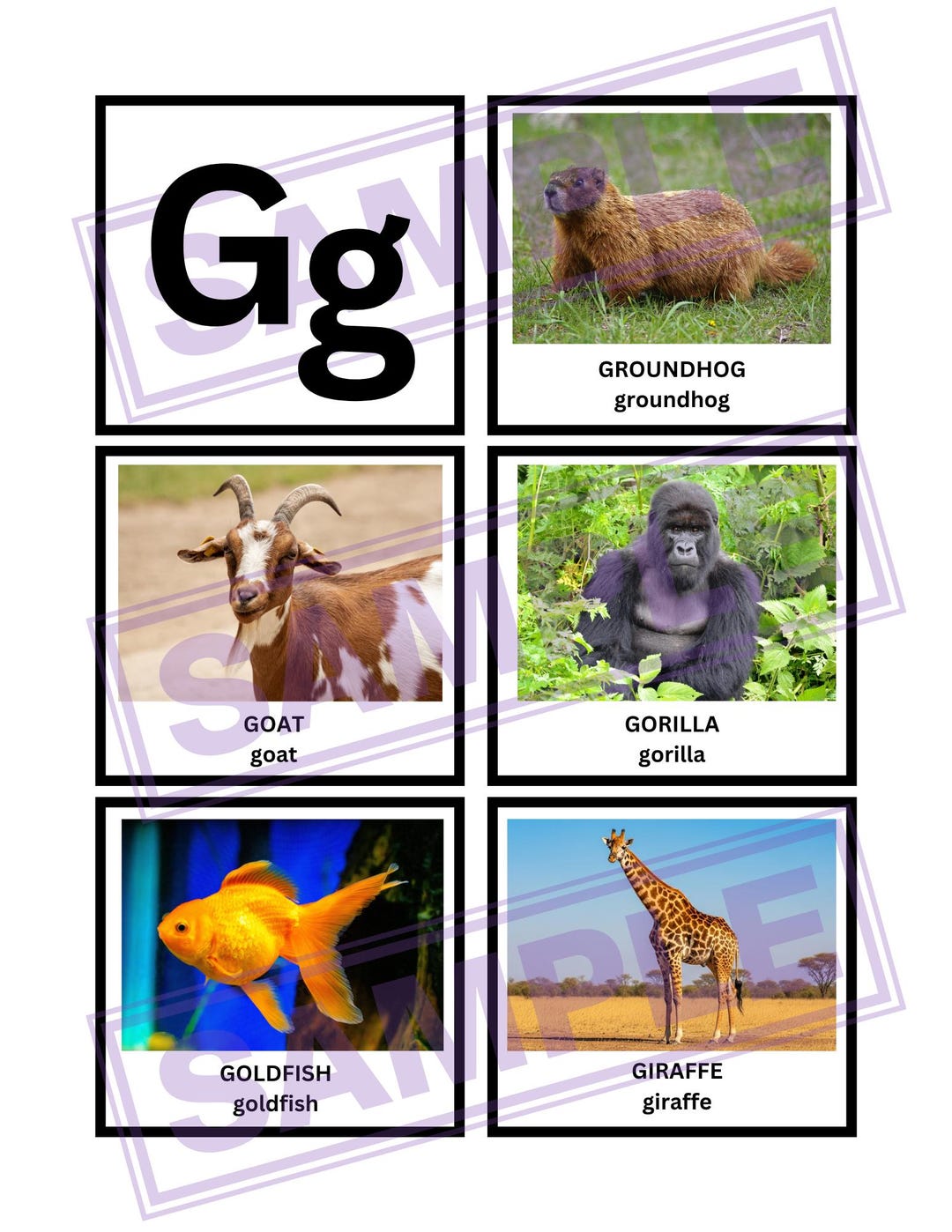 Letter G Animal Cards Printable | Montessori Alphabet Cards | Phonics ...