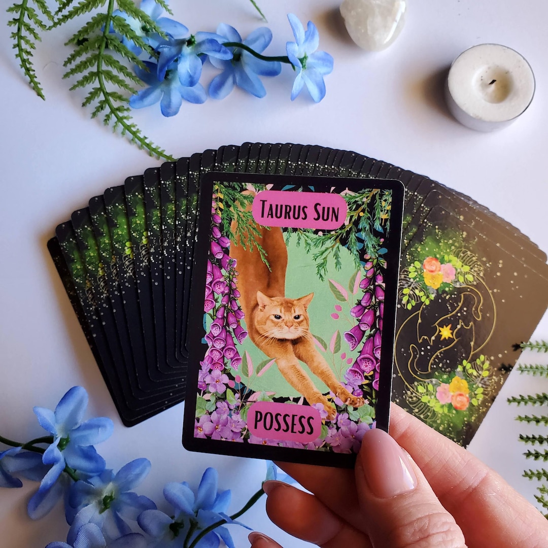 Cat Oracle Card Deck Zodiac Sun, Moon and Rising Signs in the Garden - Etsy