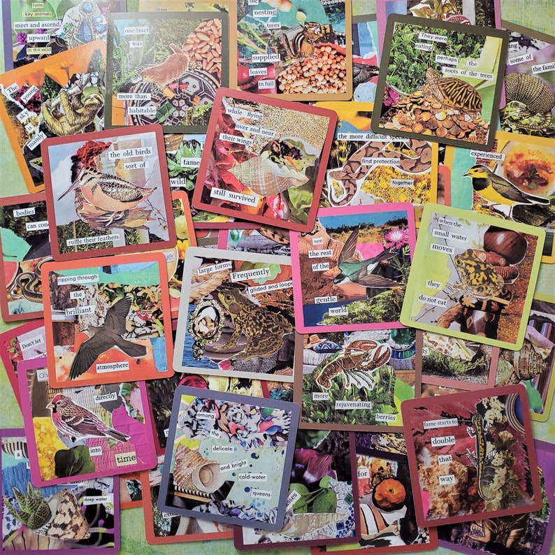 The Weird Science Deck of Curious Cards - Etsy