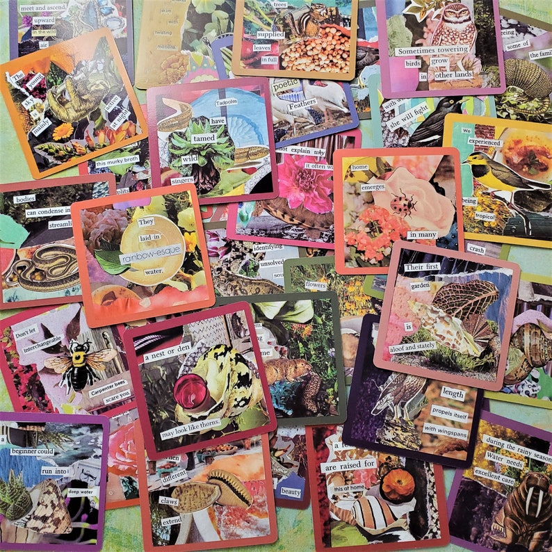 The Weird Science Deck of Curious Cards - Etsy