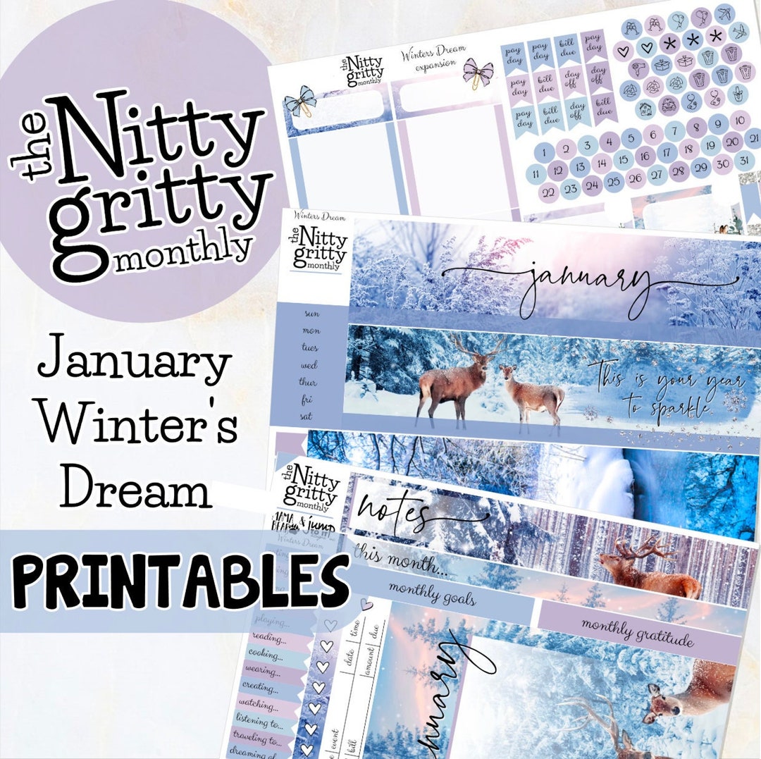 January Winters Dream Monthly Kit | Printable Stickers | Erin Condren ...