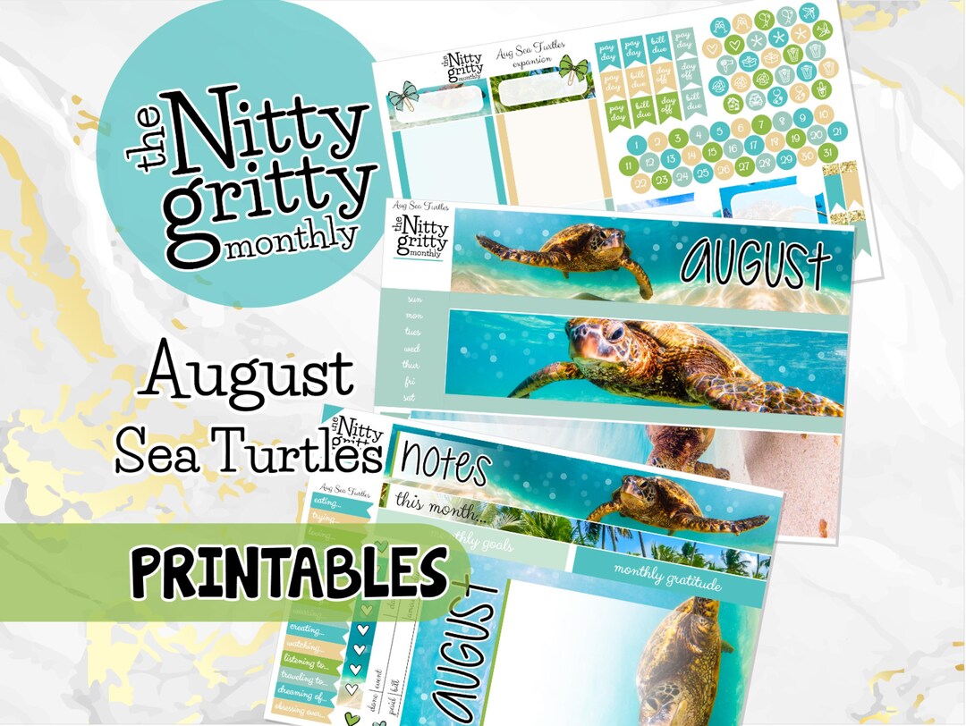 August Sea Turtles Monthly Kit | Printable Stickers | Erin Condren ...