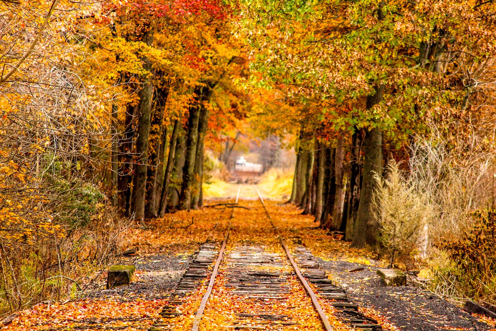 Autumn Train Tracks Photography- Fall Landscape Wall Art, Rustic ...