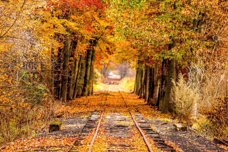 Autumn Train Tracks Photography- Fall Landscape Wall Art, Rustic ...