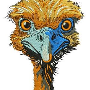 Cute Animal Babies (12 Designs) - Machine Embroidery Bundle, Baby ...