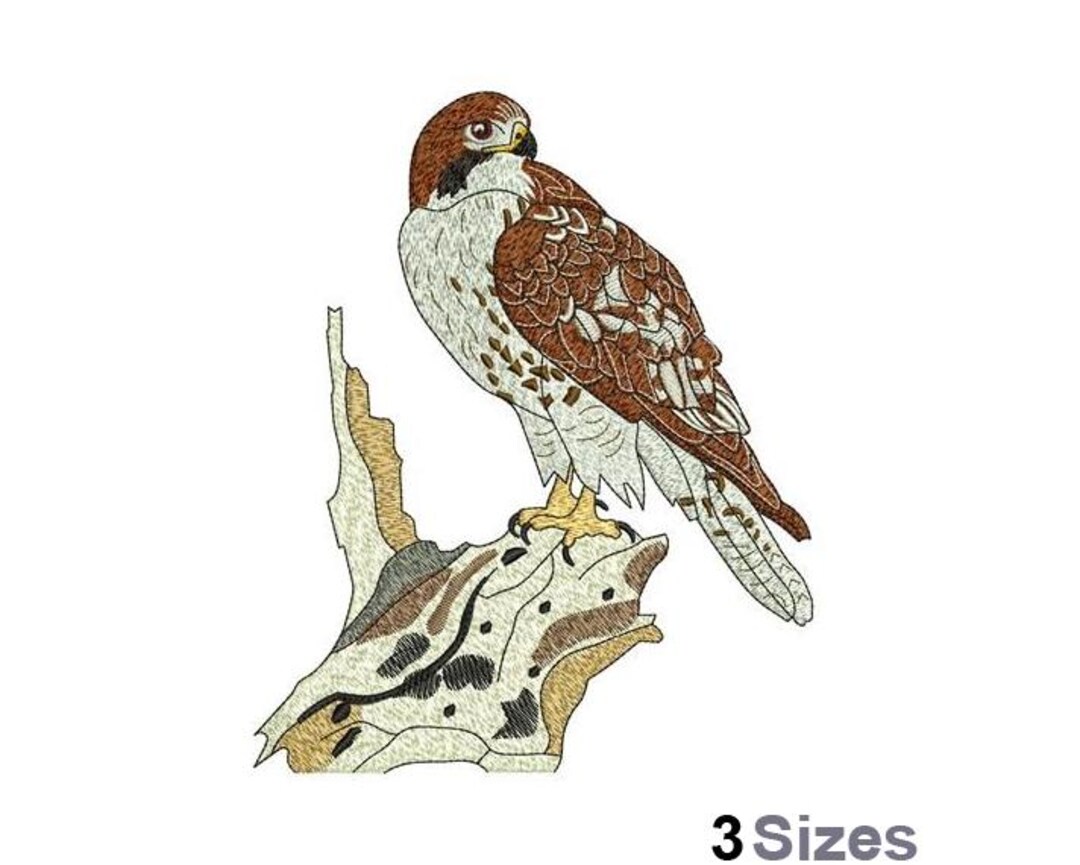 Red Tail Hawk - Machine Embroidery Design - 3 Sizes, Peregrine Falcon ...