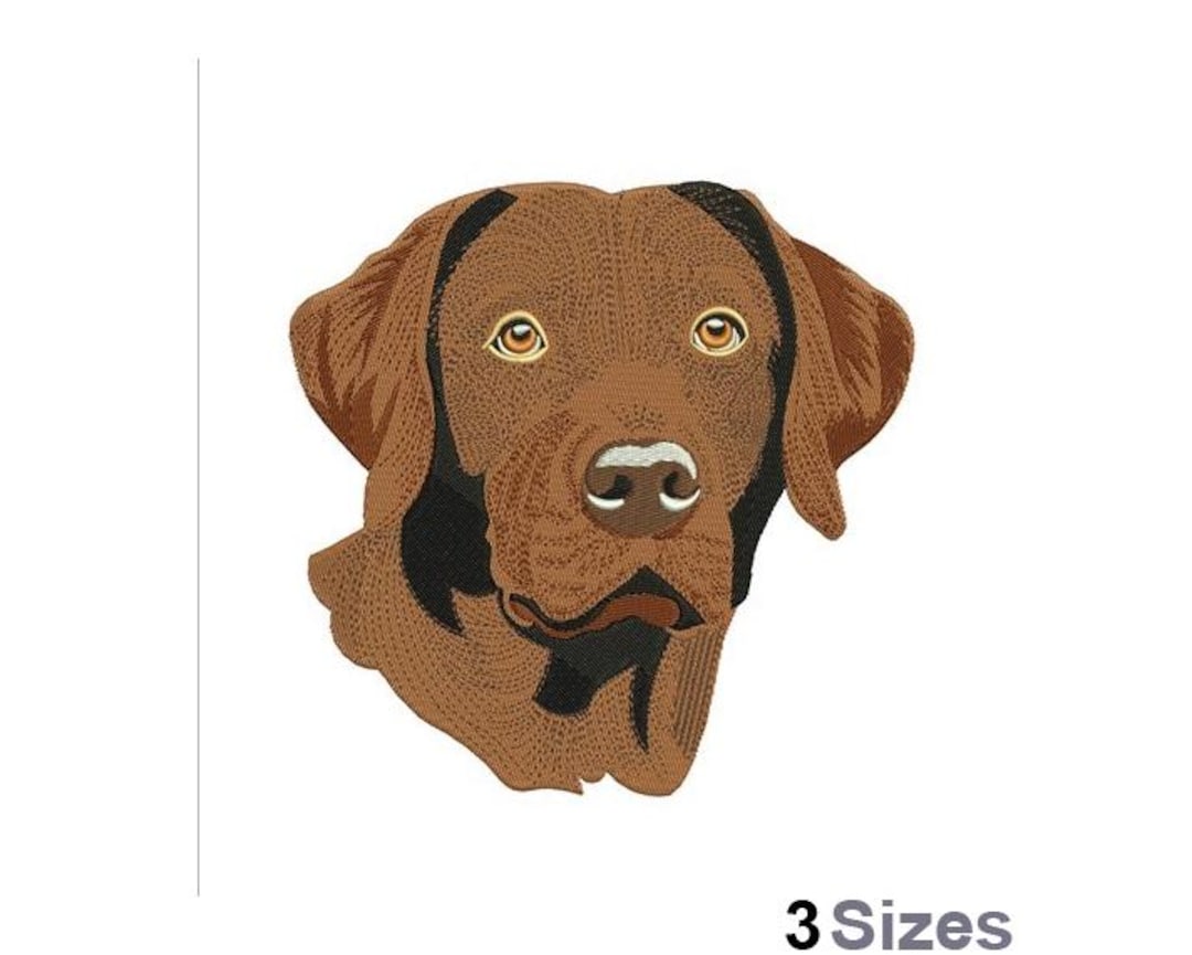 Labrador Retriever - Machine Embroidery Design - 3 Sizes - Etsy
