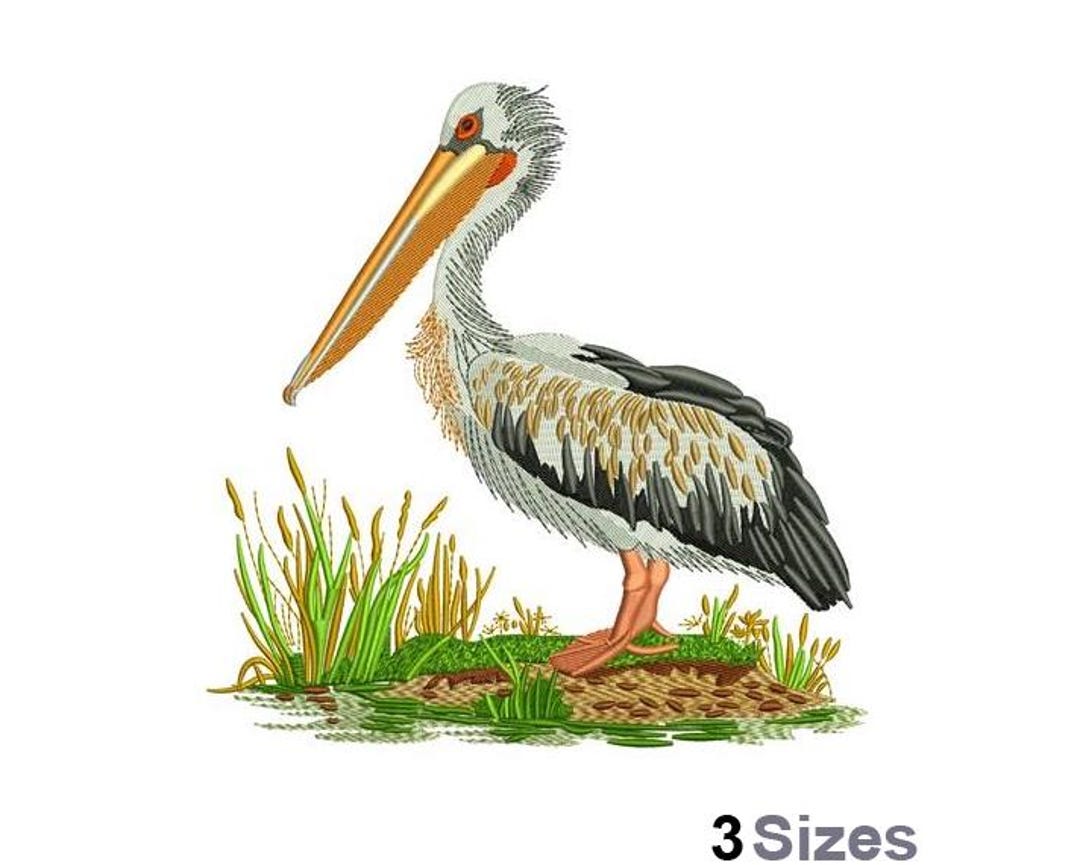 Pelican - Machine Embroidery Design - 3 Sizes - Etsy