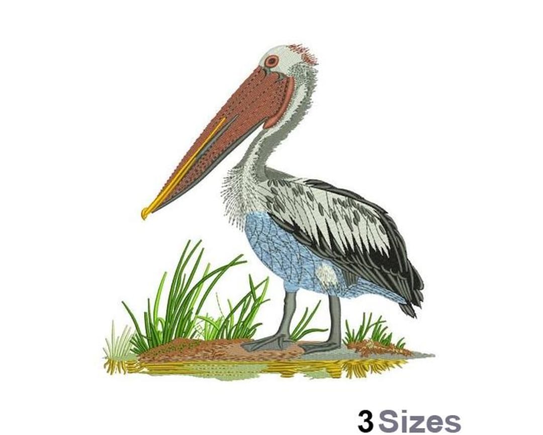 Pelican - Machine Embroidery Design - 3 Sizes, Coastal Bird Pattern - Etsy