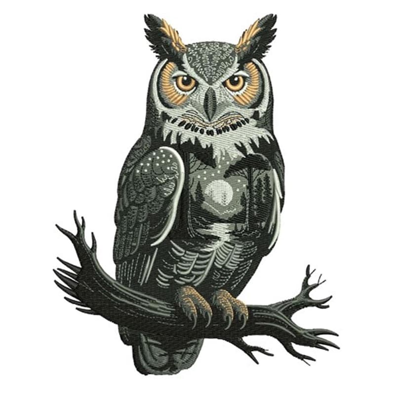Night Owl Embroidery Kit - Etsy