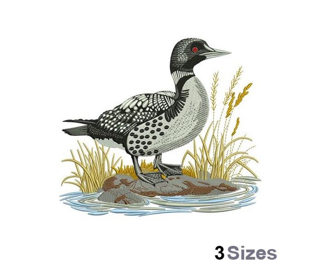 Loon Bird - Machine Embroidery Design - 3 Sizes - Etsy
