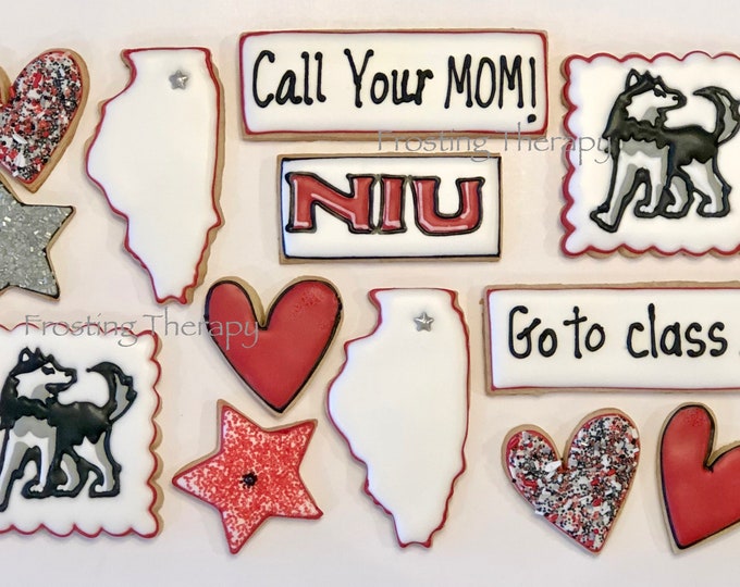 Custom COLLEGE Themed Decorated Cookies for Birthdays, Holidays and ...