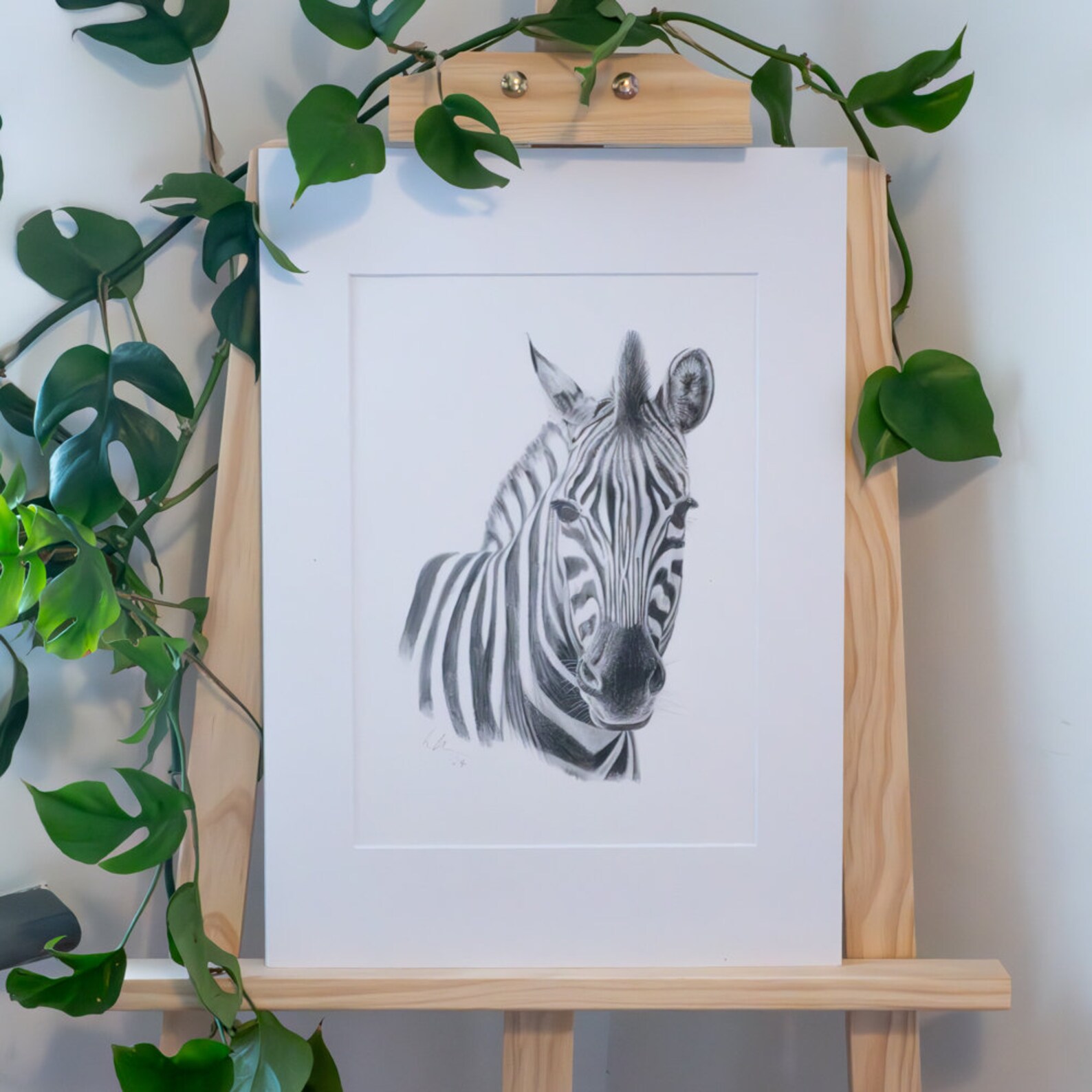 Chapmans Zebra A4 Print From Artists Original Artwork, African Wildlife ...