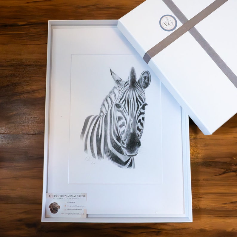 Chapmans Zebra A4 Print From Artists Original Artwork, African Wildlife ...