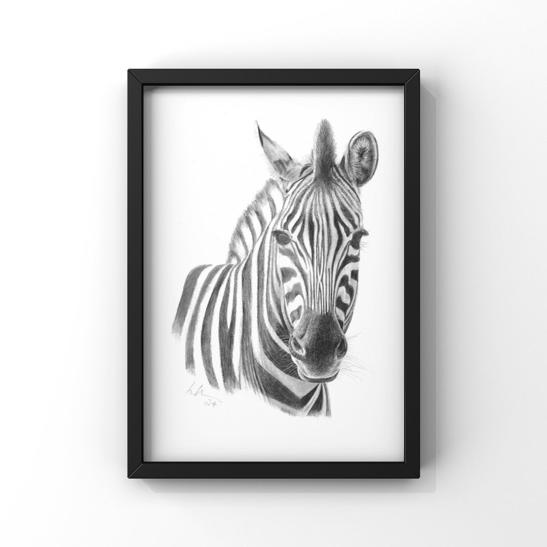 Chapmans Zebra A4 Print From Artists Original Artwork, African Wildlife ...