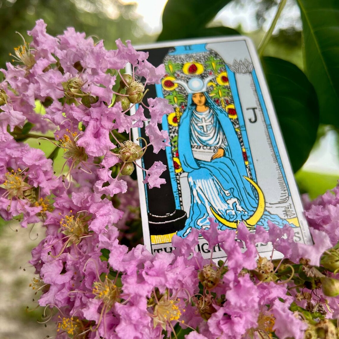 8 Future Psychic Predictions, Tarot Cards Reading, Future Psychic ...
