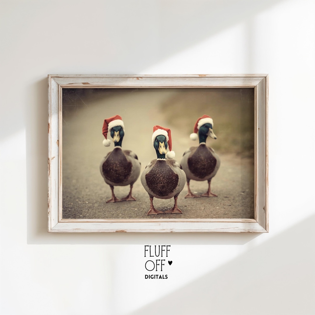 Printable Cute Holiday Ducks in Santa Hats - Rustic Christmas Wall Art ...