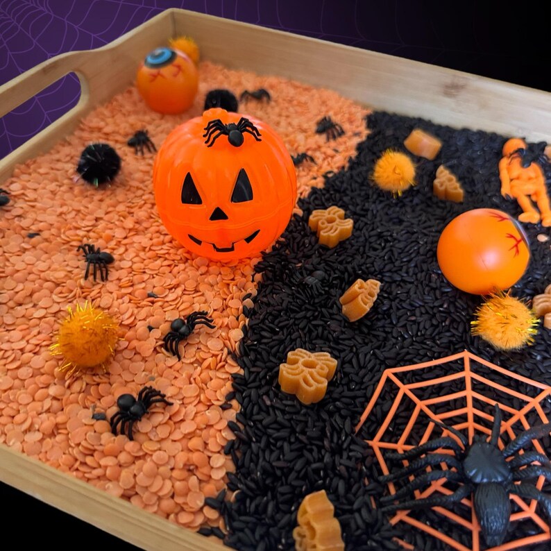 Sensory Bin Montessori Halloween, Halloween Kids Activities, No Dye ...