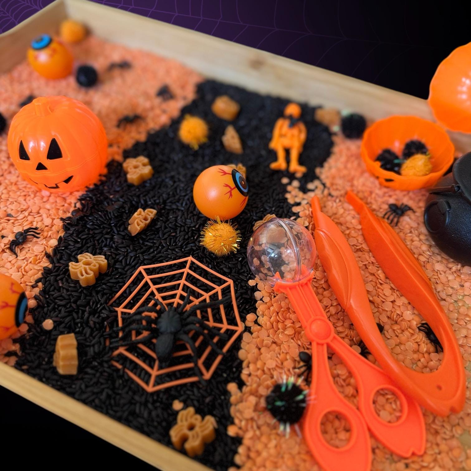 Sensory Bin Montessori Halloween, Halloween Kids Activities, No Dye ...