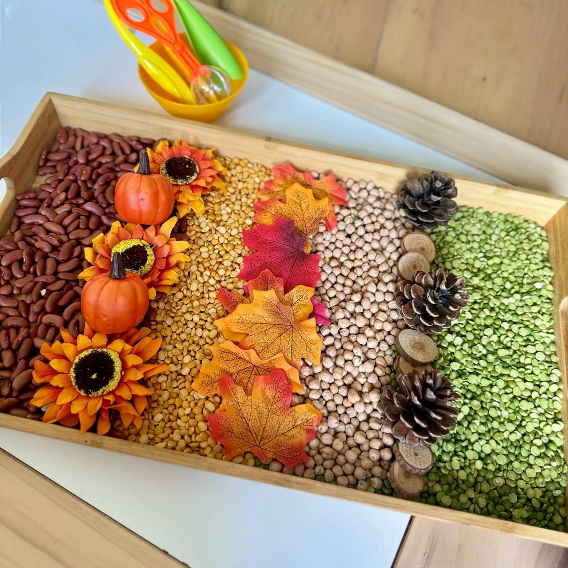 Fall Sensory Bin, Thanksgiving Sensory Kit, Kids Sensory Table, Sensory ...