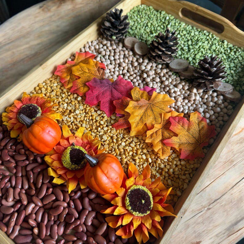 Fall Sensory Bin, Thanksgiving Sensory Kit, Kids Sensory Table, Sensory ...