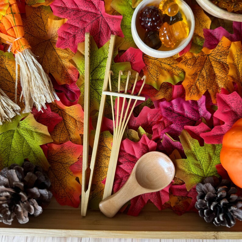 Autumn Sensory Bin, Toddler Sensory Bin, Fall Sensory Play, Sensory Box ...