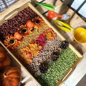 Fall Sensory Bin, Thanksgiving Sensory Kit, Kids Sensory Table, Sensory ...
