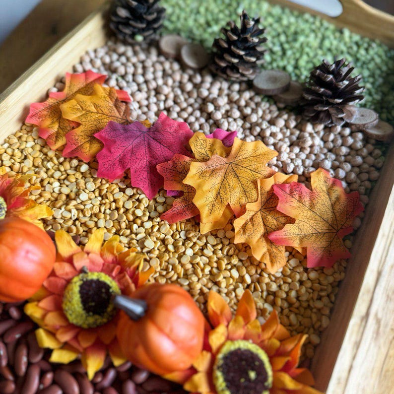 Fall Sensory Bin, Thanksgiving Sensory Kit, Kids Sensory Table, Sensory ...