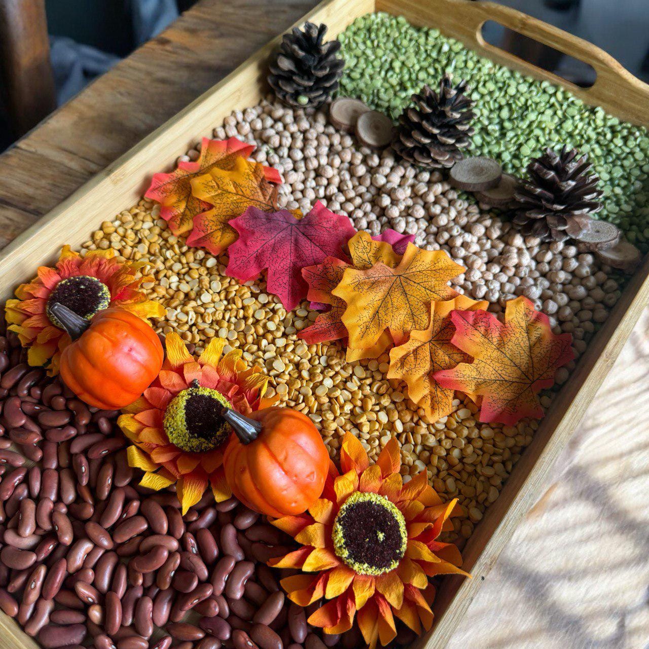 Fall Sensory Bin, Thanksgiving Sensory Kit, Kids Sensory Table, Sensory ...