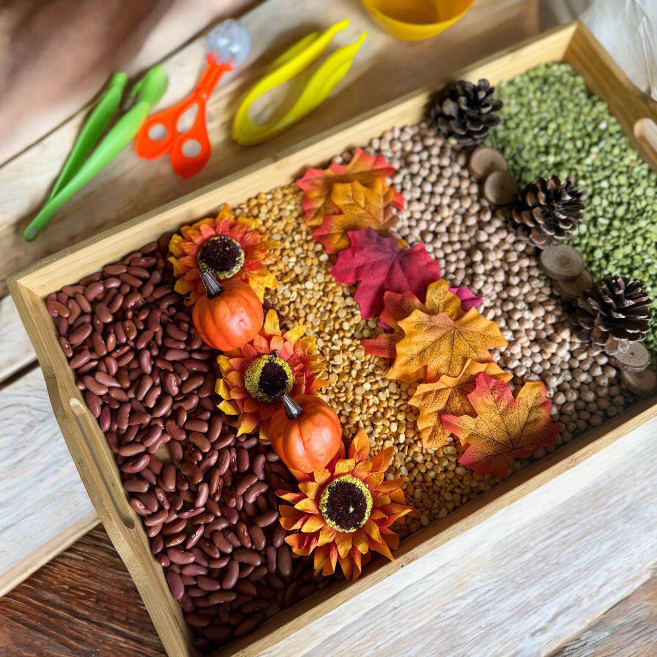 Fall Sensory Bin, Thanksgiving Sensory Kit, Kids Sensory Table, Sensory ...