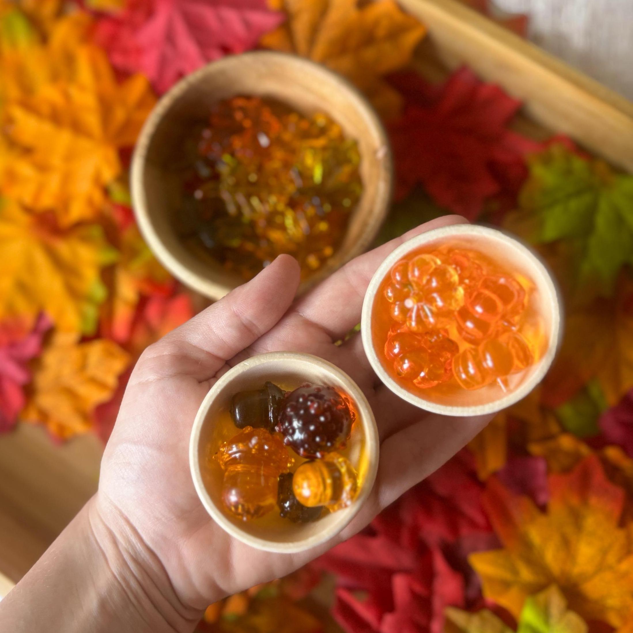 Autumn Sensory Bin, Toddler Sensory Bin, Fall Sensory Play, Sensory Box ...