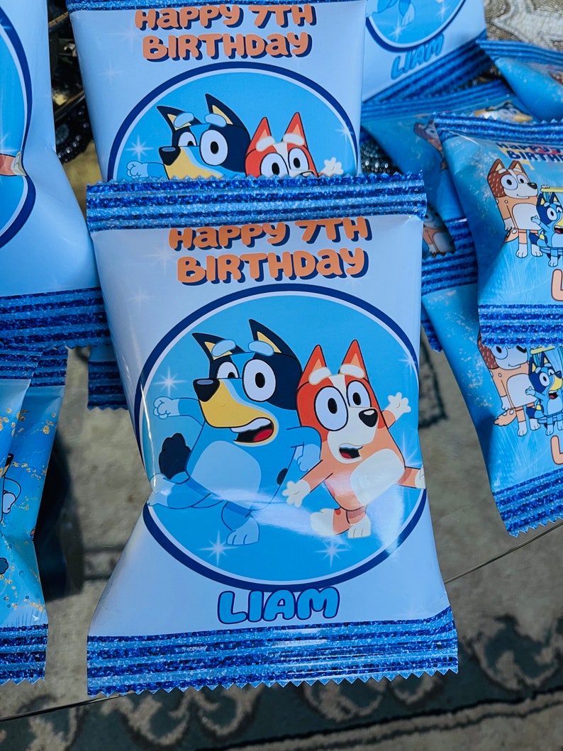 Personalized Chip Bag, Birthday Chips, Party Favor Bags Birthday Party ...