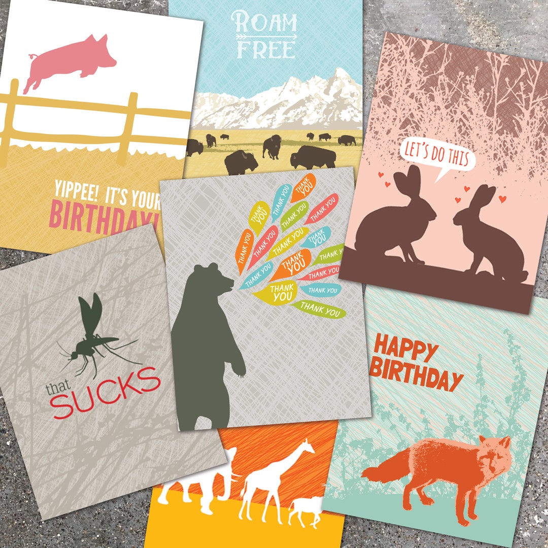 Assorted Cards / Surprise Pack of 10 Cards - Etsy