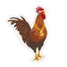 Gangsta Rooster Sticker - Etsy