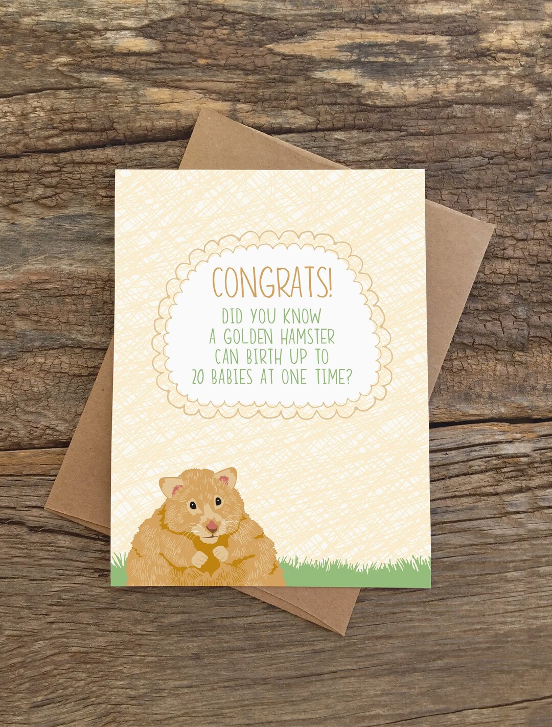 Funny Baby Shower Card / Hamster Fact - Etsy