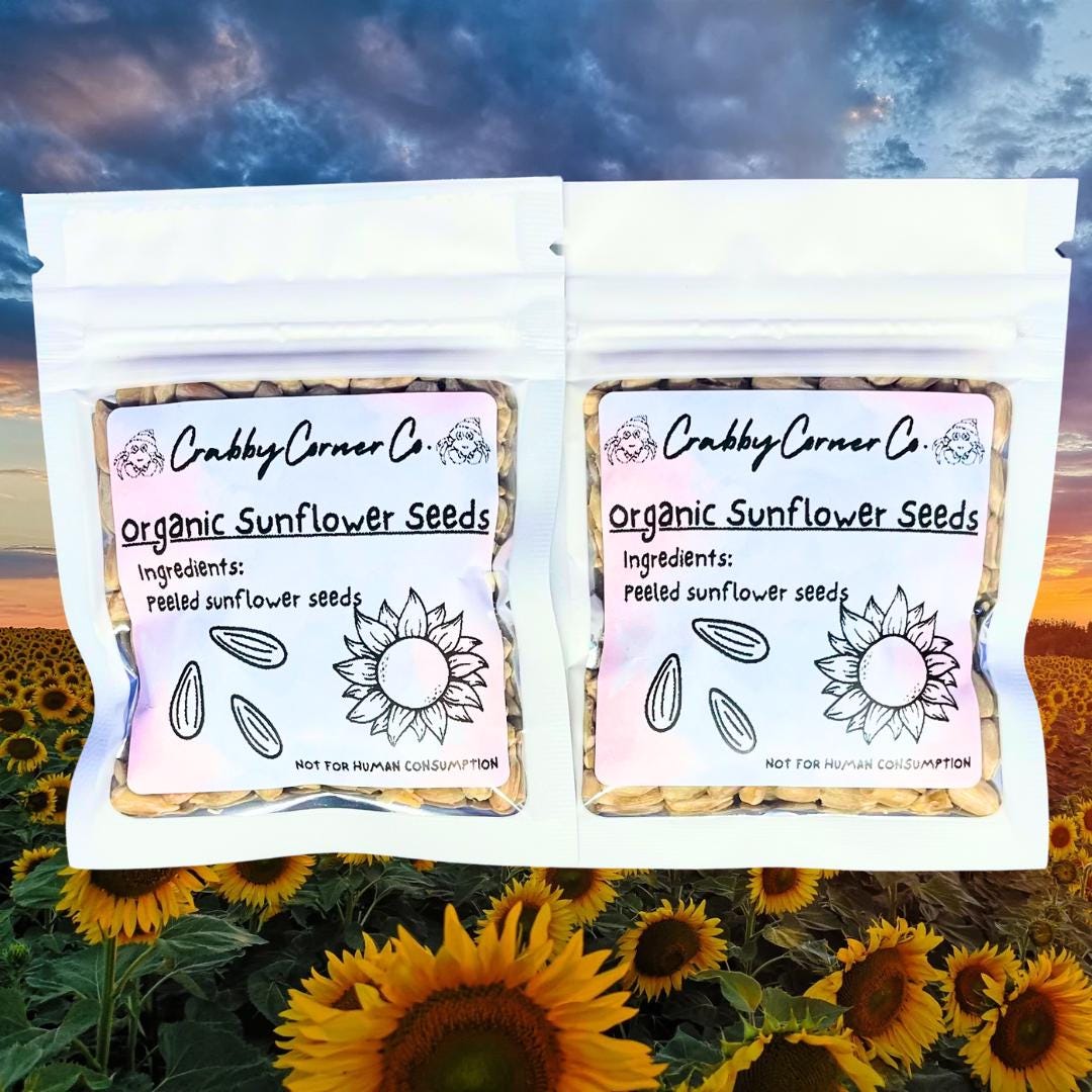 Organic Sunflower Seeds for Hermit Crabs, Hermit Crab Food, Seeds and ...