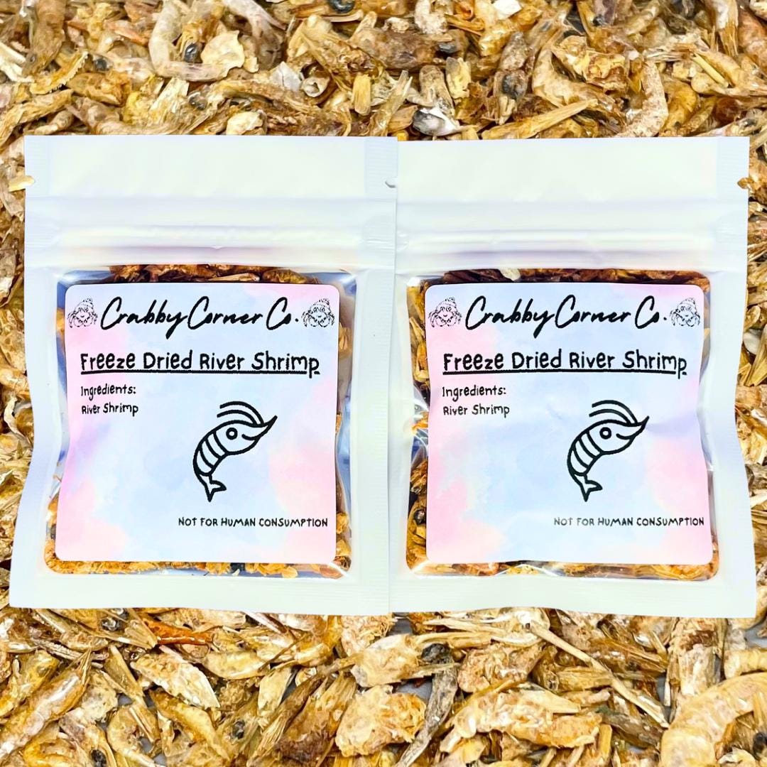 Freeze Dried River Shrimp | Hermit Crab Food - Etsy